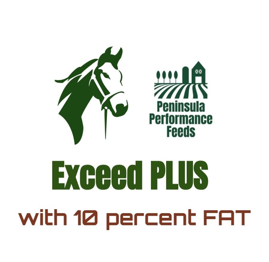 News: – Peninsula Performance Feeds